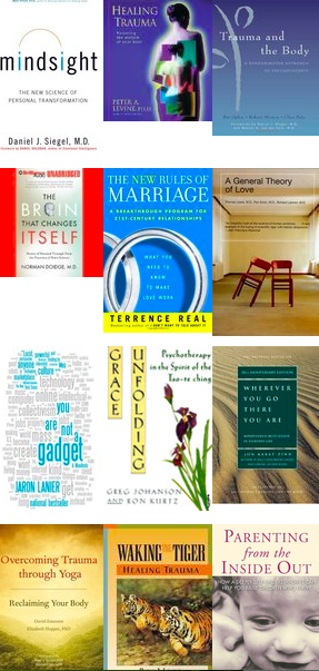 Book Covers | Hakomi OT: Therapy and Consulting